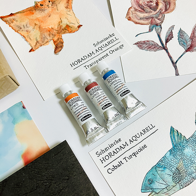 ★限定★あこがれ水彩BOXセット｜モノづくりを楽しむサイト cotora monora (コトラモノラ)